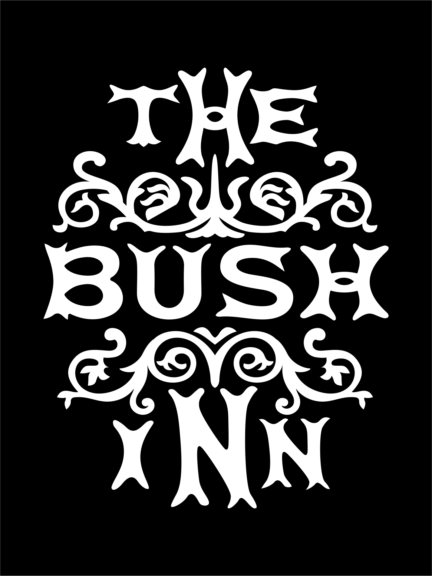 The Bush Inn Hotel